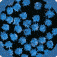 Disease GIFs - Get the best gif on GIFER