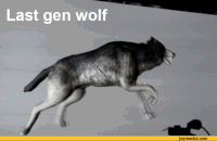 Comparison GIFs - Get the best gif on GIFER