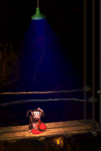 Dk GIFs - Get the best gif on GIFER