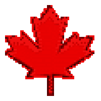 Leaf GIFs - Get the best gif on GIFER