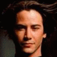 Interest GIFs - Get the best gif on GIFER