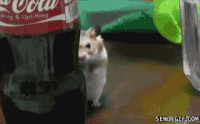 Soon GIFs - Get the best gif on GIFER