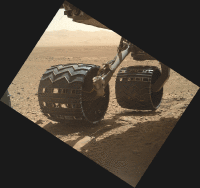 Curiosity GIFs - Get the best gif on GIFER