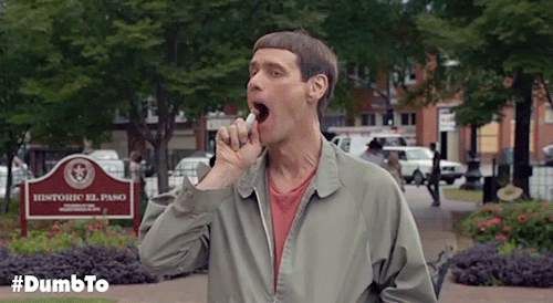 Dumbanddumber GIFs - Get the best gif on GIFER