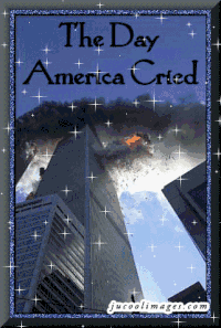 911memorial GIFs - Get the best gif on GIFER