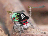 Spinne GIFs - Get the best gif on GIFER