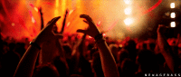 Concerts GIFs - Get the best gif on GIFER