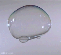 Represent GIFs - Get the best gif on GIFER