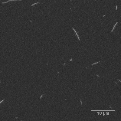 Filament GIFs - Get the best gif on GIFER