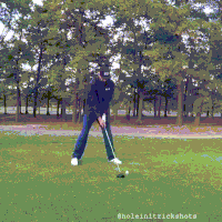 Golf GIFs - Get the best gif on GIFER