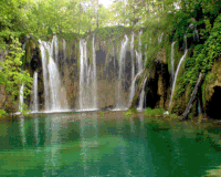 Pond GIFs - Get the best gif on GIFER