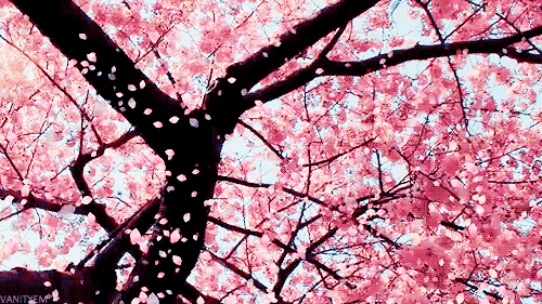 Spring GIFs - Get the best gif on GIFER