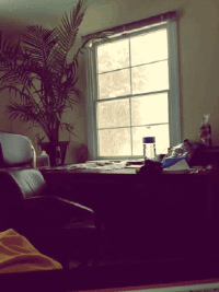 Deceiving GIFs - Get the best gif on GIFER