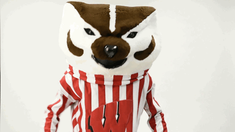 Wisconsin GIFs - Get the best gif on GIFER