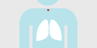 Lungs GIFs - Get the best gif on GIFER