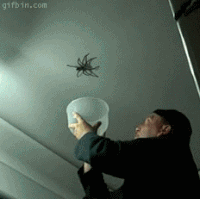 Ceiling GIFs - Get the best gif on GIFER
