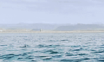 Weeeeeeeeeeeeeee GIFs - Get the best gif on GIFER