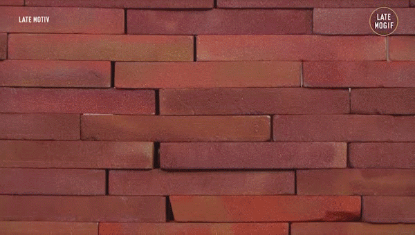 Muro GIFs - Get the best gif on GIFER