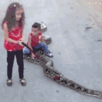 Slithering GIFs - Get the best gif on GIFER