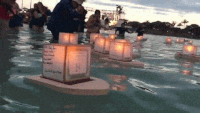 Float GIFs - Get the best gif on GIFER