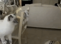 Effort GIFs - Get the best gif on GIFER