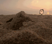 Crawls GIFs - Get the best gif on GIFER