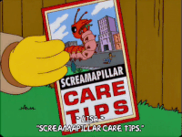 Pamphlet GIFs - Get the best gif on GIFER