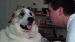 Slapping GIF - Conseguir o melhor gif em GIFER