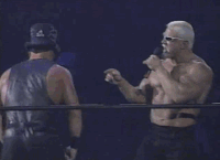 Wcw GIFs - Get the best gif on GIFER