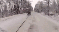 Sledding GIFs - Get the best gif on GIFER