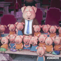Pigs GIFs - Get the best gif on GIFER