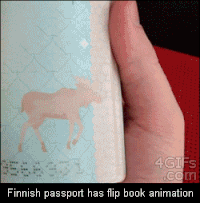 Passport GIFs - Get the best gif on GIFER