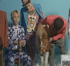 Kpopask GIFs - Get the best gif on GIFER