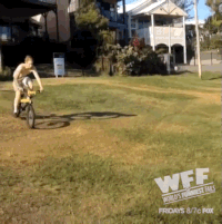 Wff GIFs - Get the best gif on GIFER