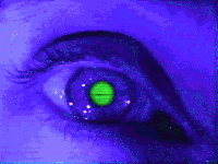 Ming GIFs - Get the best gif on GIFER