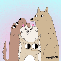 Sauter GIFs - Get the best gif on GIFER