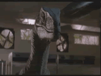 Raptors GIFs - Get the best gif on GIFER
