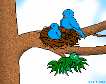 Nest GIFs - Get the best gif on GIFER