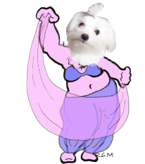 Ide GIFs - Get the best gif on GIFER