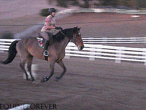 Seiko GIF - Conseguir el mejor gif en GIFER