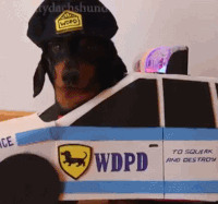 Police GIFs - Obtenez le meilleur gif sur GIFER