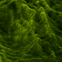 Grass GIFs - Get the best gif on GIFER