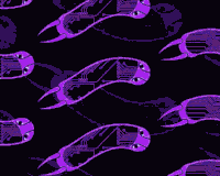 Bacteria GIF - Conseguir el mejor gif en GIFER