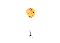 Ant GIFs - Get the best gif on GIFER