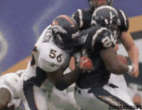 Denver GIFs - Get the best gif on GIFER