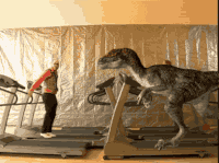 Clever GIFs - Get the best gif on GIFER