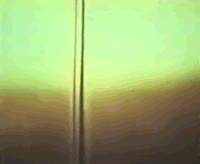 Hass GIFs - Get the best gif on GIFER