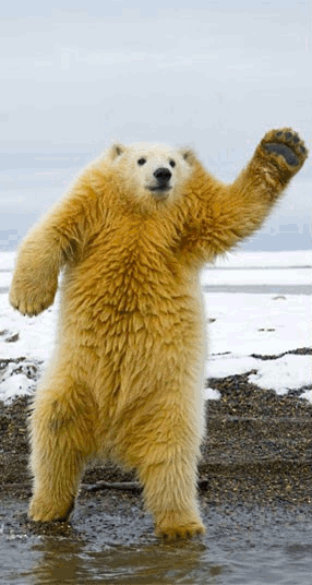 Ça ne fait rien GIFs - Obtenez le meilleur gif sur GIFER