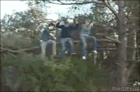 Cutting GIFs - Get the best gif on GIFER