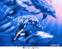 504 GIFs - Get the best gif on GIFER